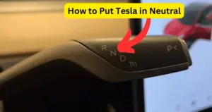How to Put Tesla in Neutral